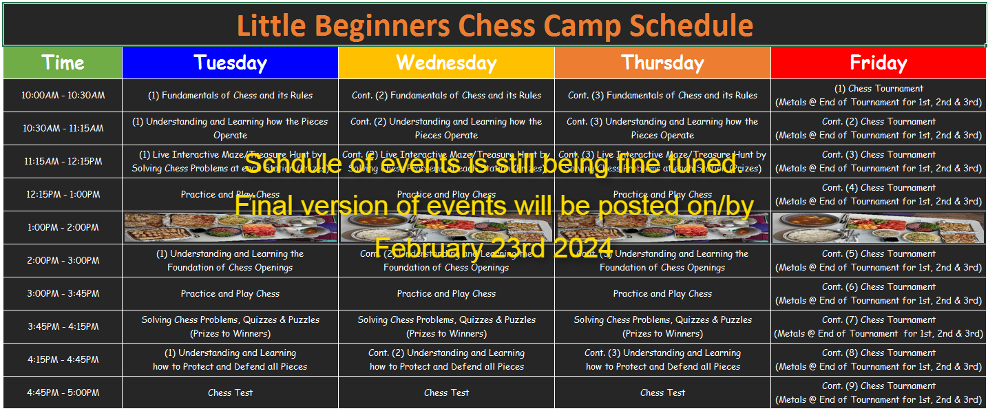 Winter Break Chess Camp 2024 2025